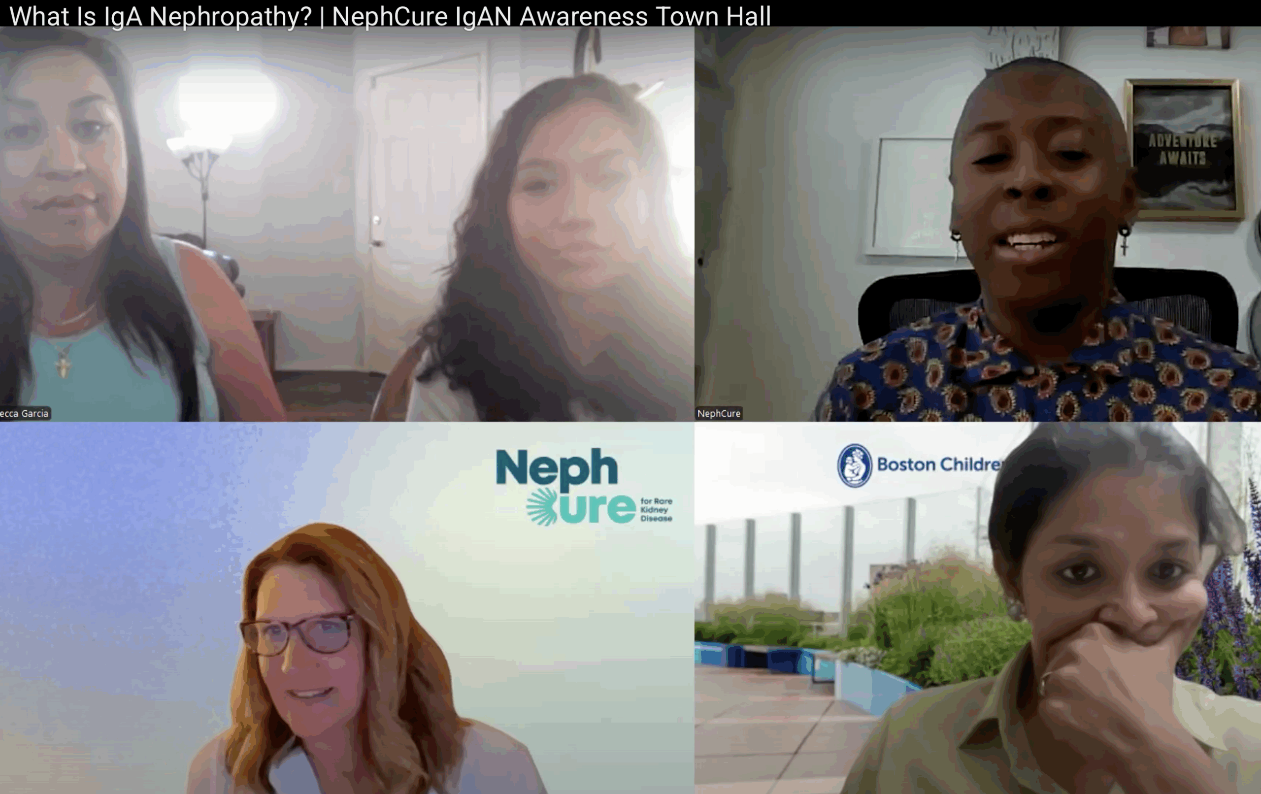 What Is IgA Nephropathy? | NephCure IgAN Awareness Town Hall - NephCure